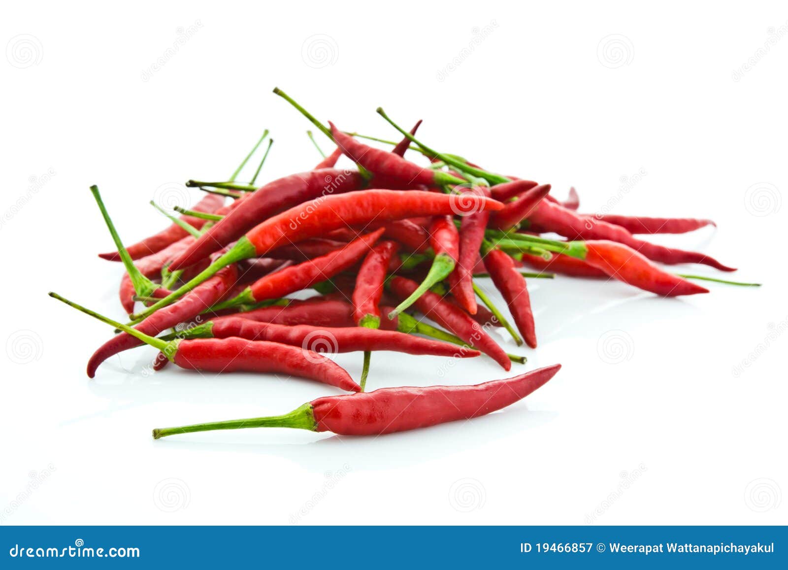 Chile rojo imagen de archivo. Imagen de planta, especia - 19466857