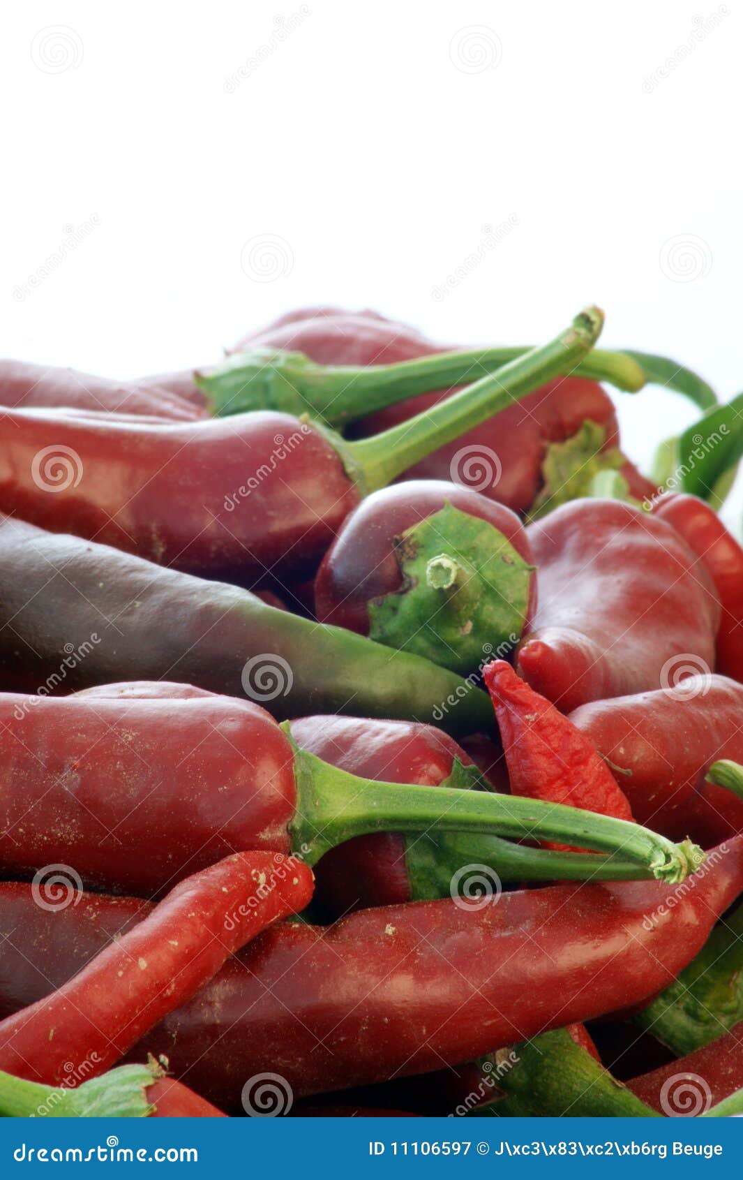 Chile Rojo Fresco Del Campo Imagen de archivo - Imagen de sano, prueba ...