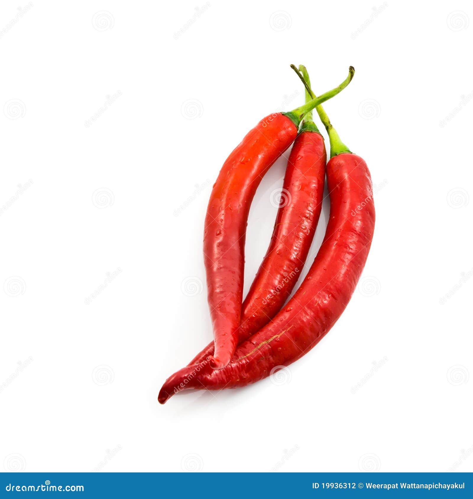 Chile rojo largo foto de archivo. Imagen de caliente - 19936312