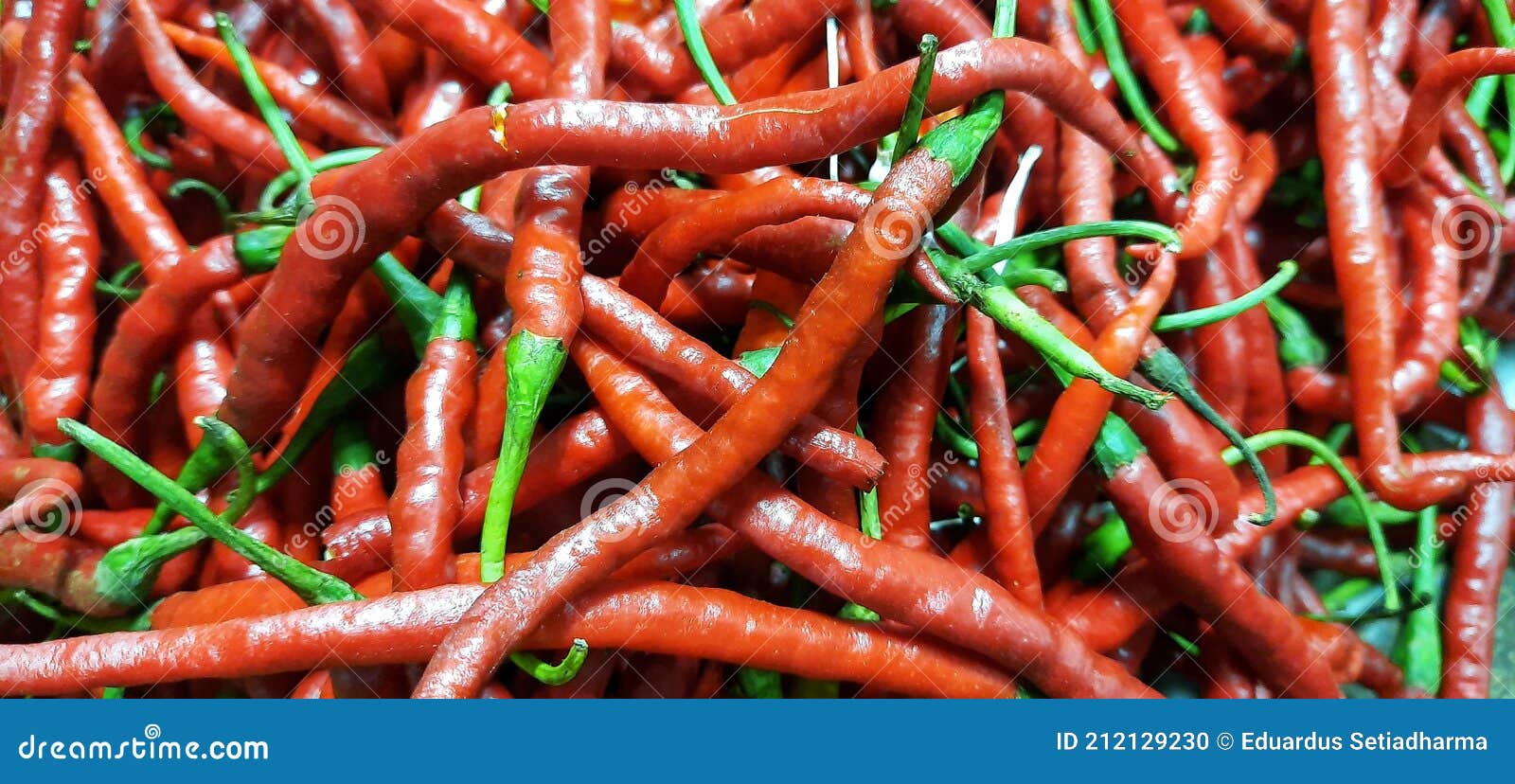 Chile rojo largo foto de archivo. Imagen de chile, ensalada - 212129230
