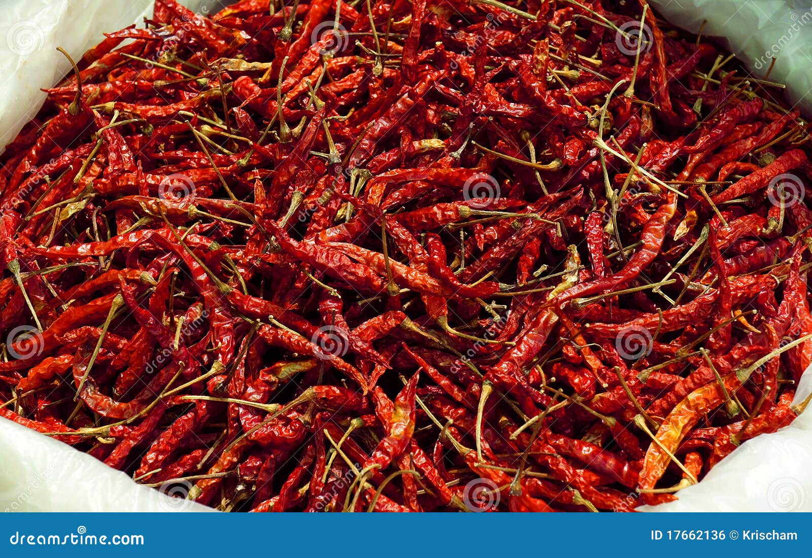 Chile rojo seco foto de archivo. Imagen de sano, granjero - 17662136