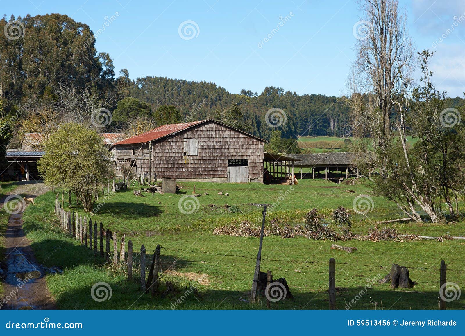 Chile rural foto de archivo. Imagen de nadie, ovejas - 59513456