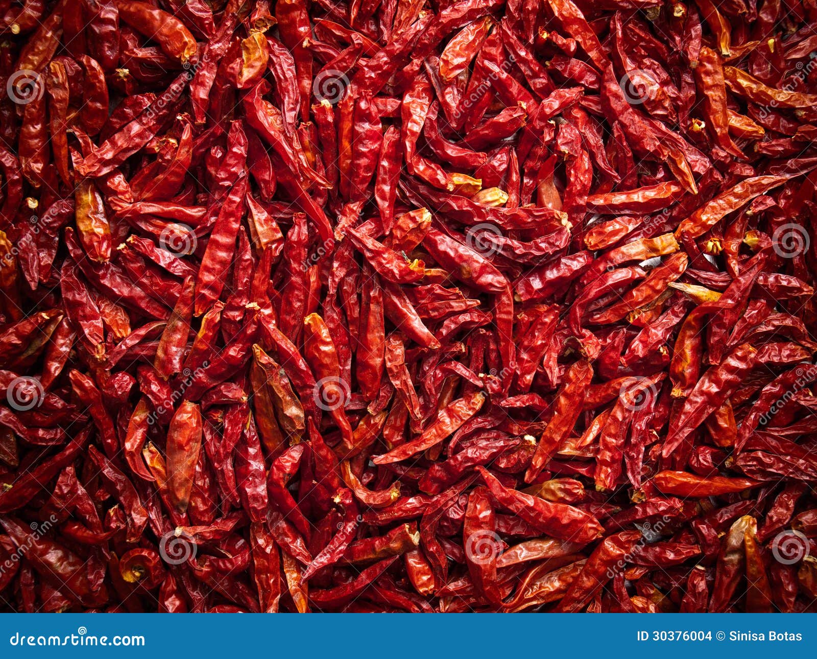 Chile seco foto de archivo. Imagen de pimenton, pimiento - 30376004