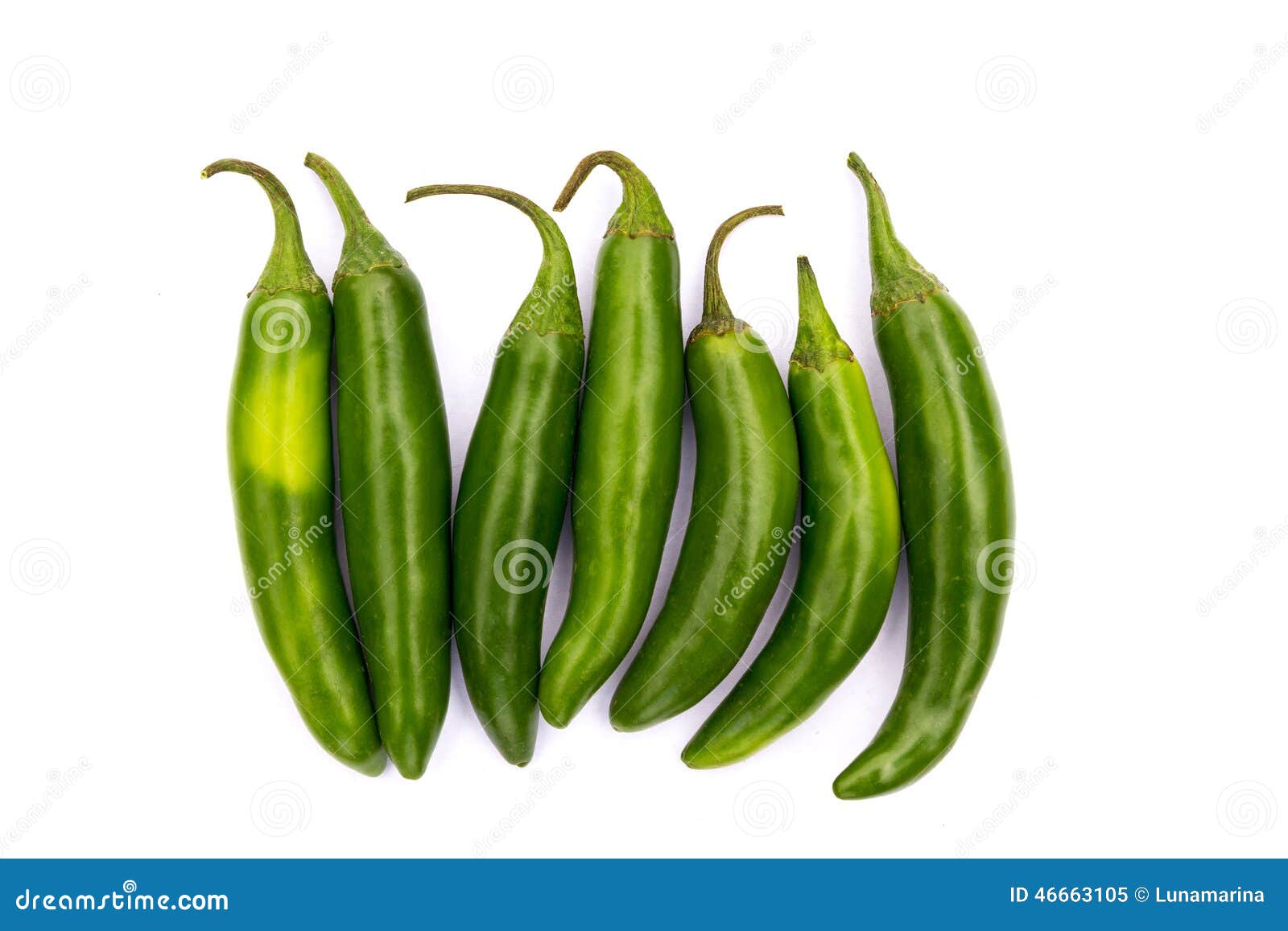 Chile Serrano Hot Chili Pepper Stock Image - Image of botany, american ...