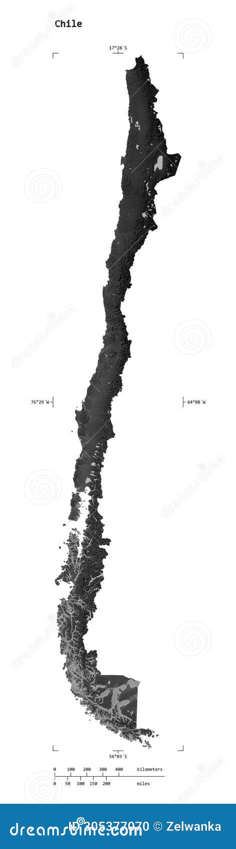 Chile Shape on White. Grayscale Stock Illustration - Illustration of ...
