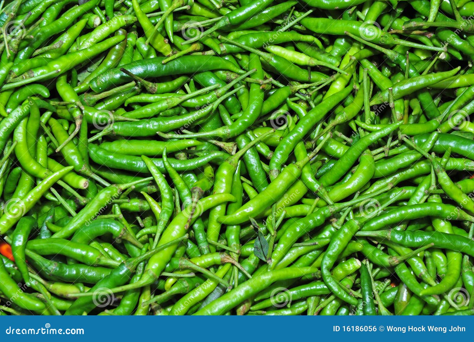 Chile verde foto de archivo. Imagen de especia, chile - 16186056