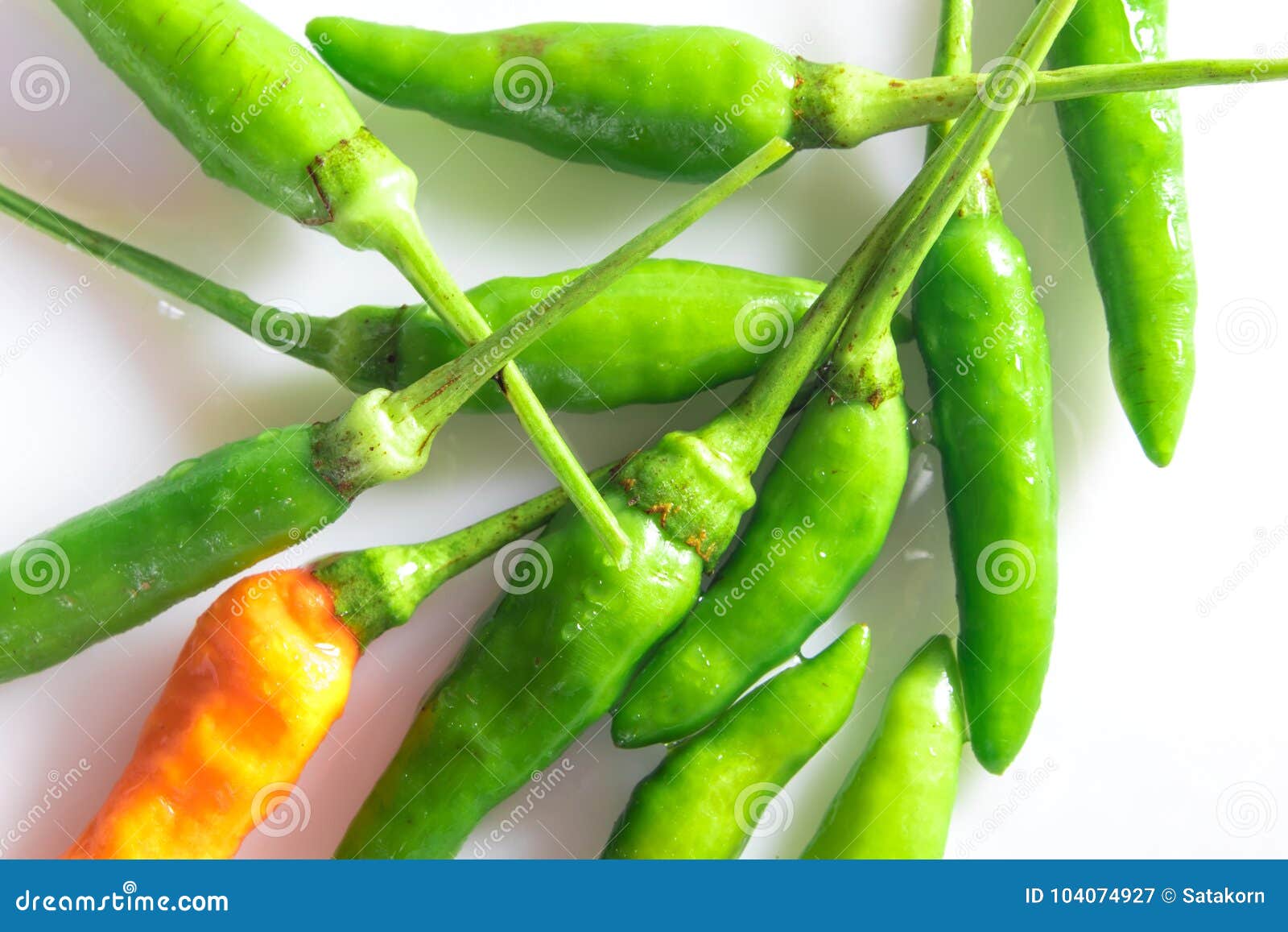 Chile Verde Y Amarillo Fresco Imagen de archivo - Imagen de objeto ...