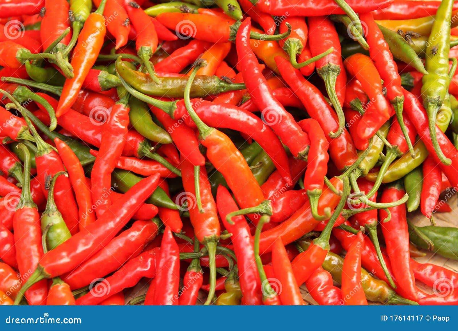 Chiles imagen de archivo. Imagen de coma, mercado, agricultura - 17614117