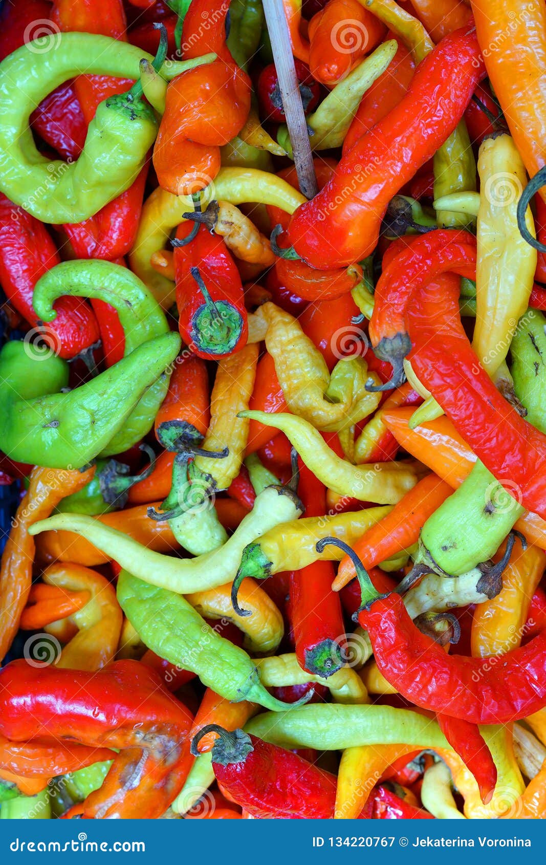 Chiles De Diversos Colores En El Mercado Imagen de archivo - Imagen de ...