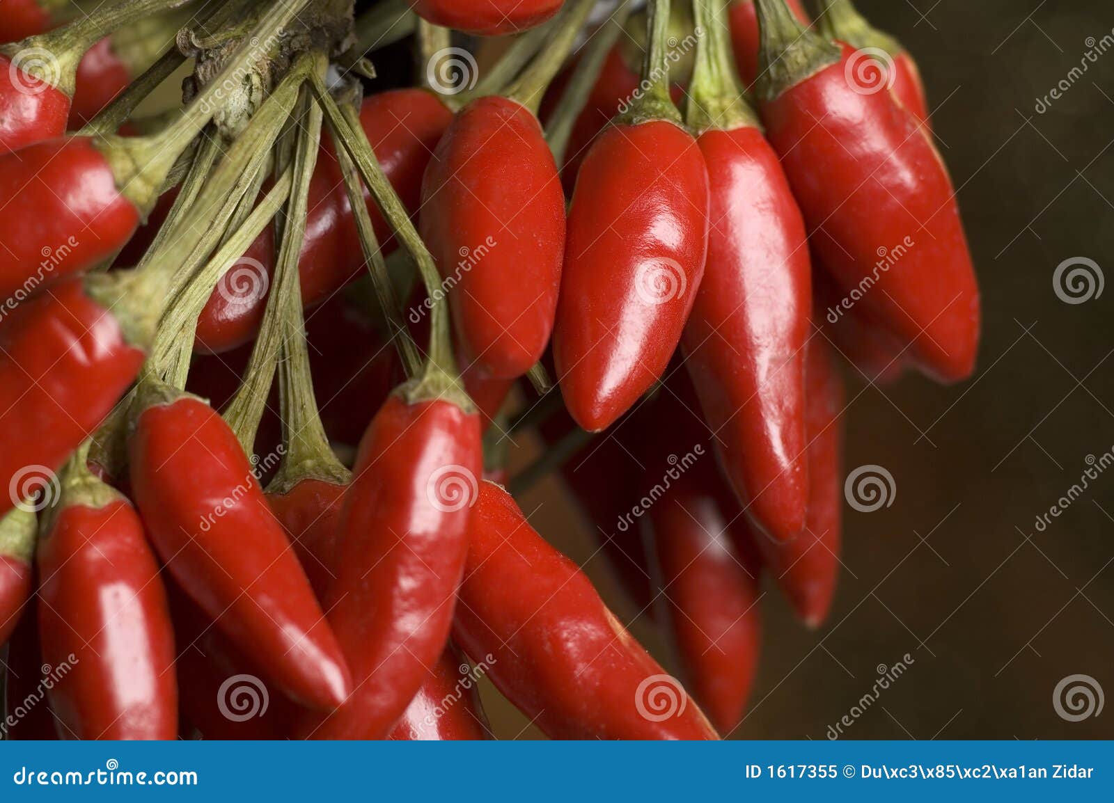Chili stock image. Image of object, fiery, organic, chily - 1617355