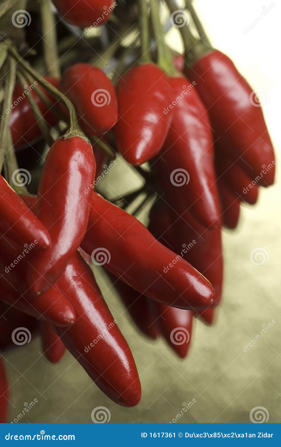 Chili stock image. Image of food, cooking, detail, chile - 1617361