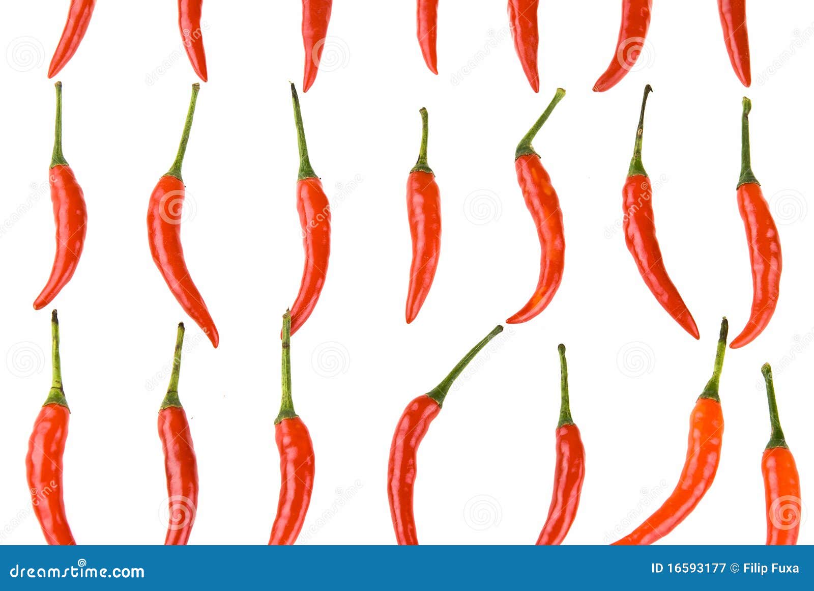 Chili stock image. Image of food, chili, healthy, organic - 16593177