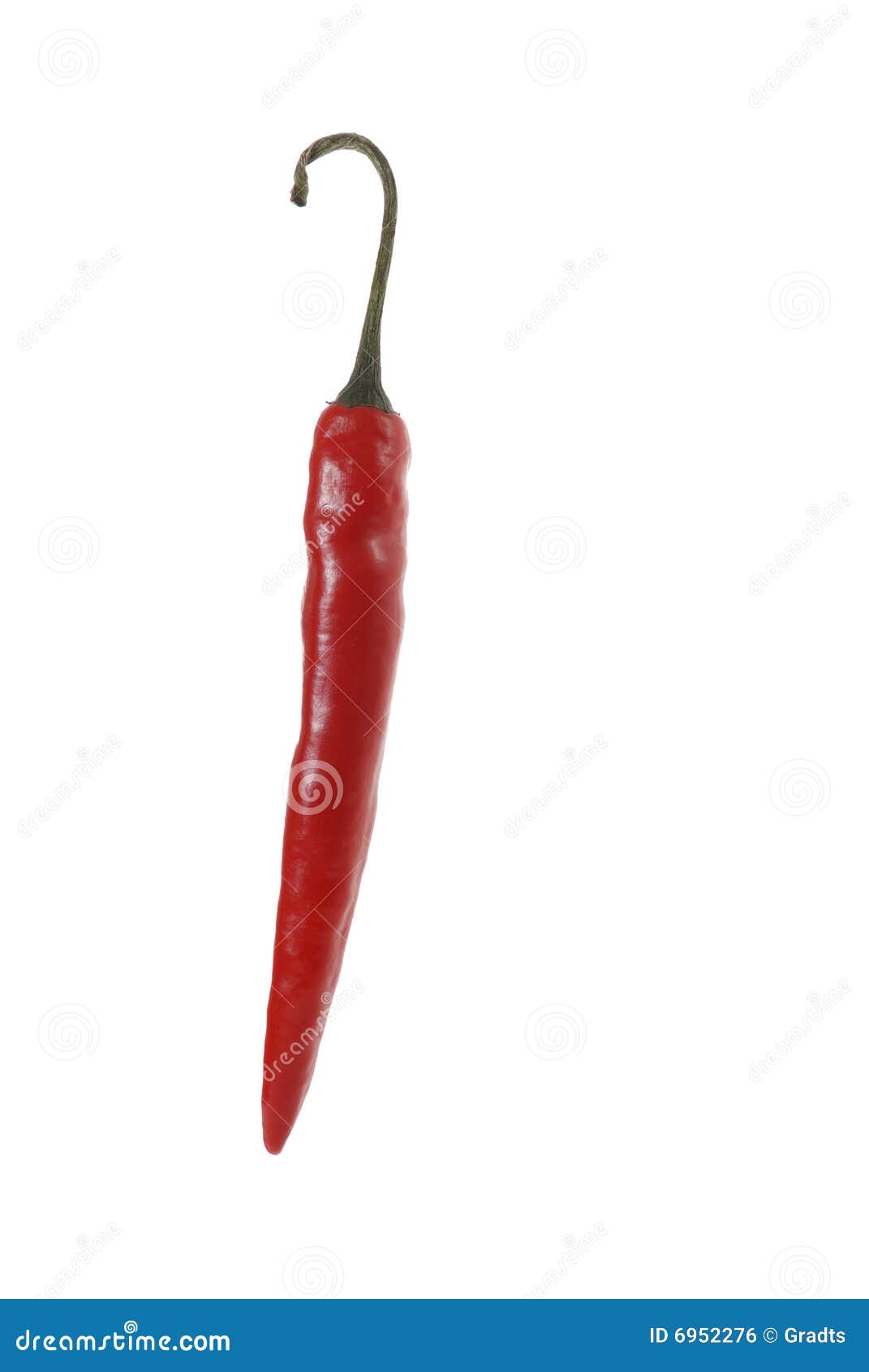 Chili stock photo. Image of flavour, kitchen, chillies - 6952276