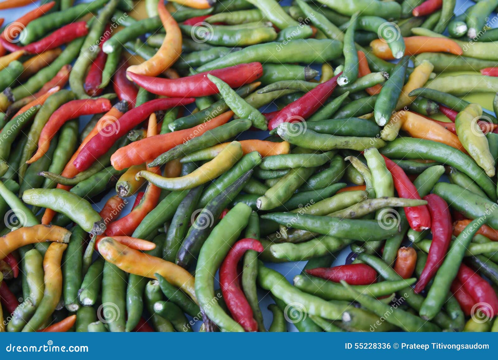 Chili stock photo. Image of abstract, chili, natural - 55228336