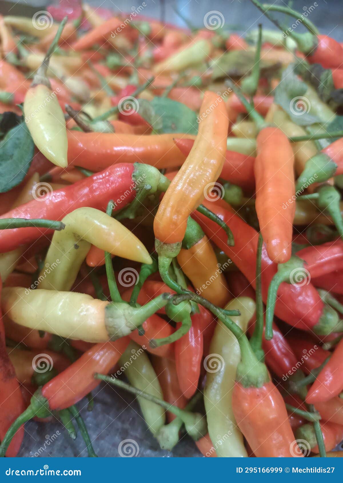 Chili Cayenne Pepper Colour Stock Image - Image of chili, colour: 295166999