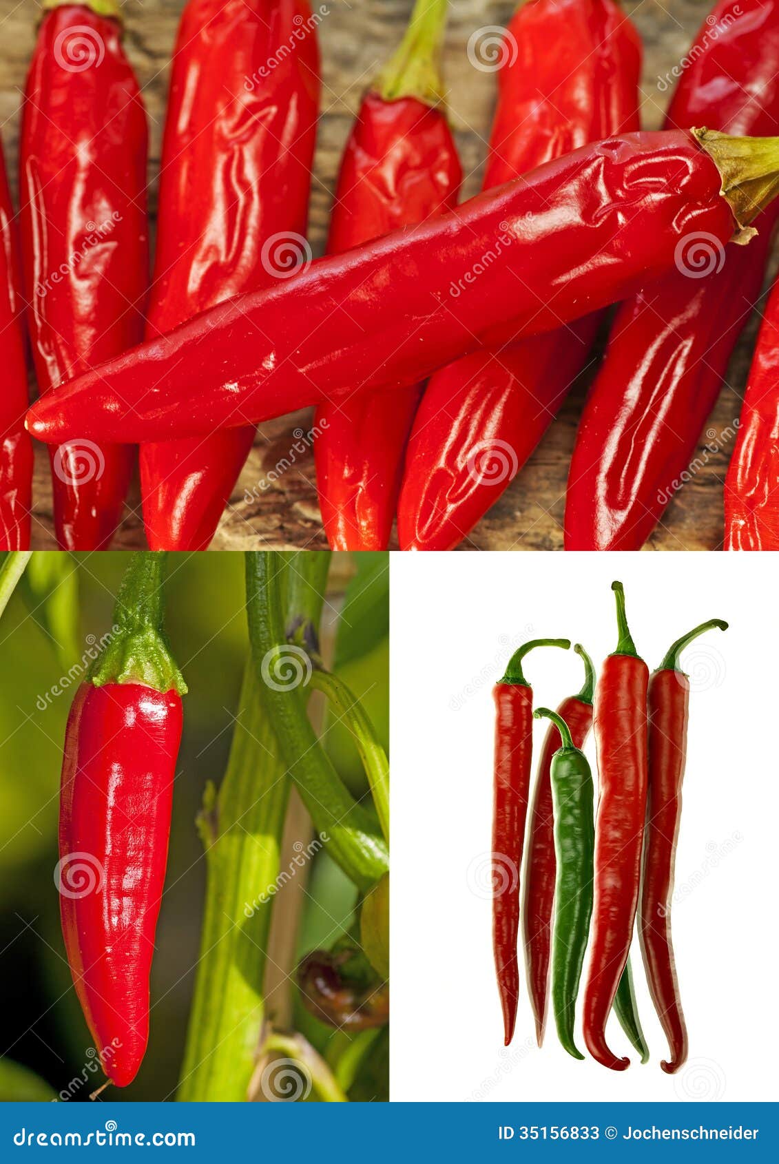 Chili Cayenne stock image. Image of juicy, healthy, pepper - 35156833