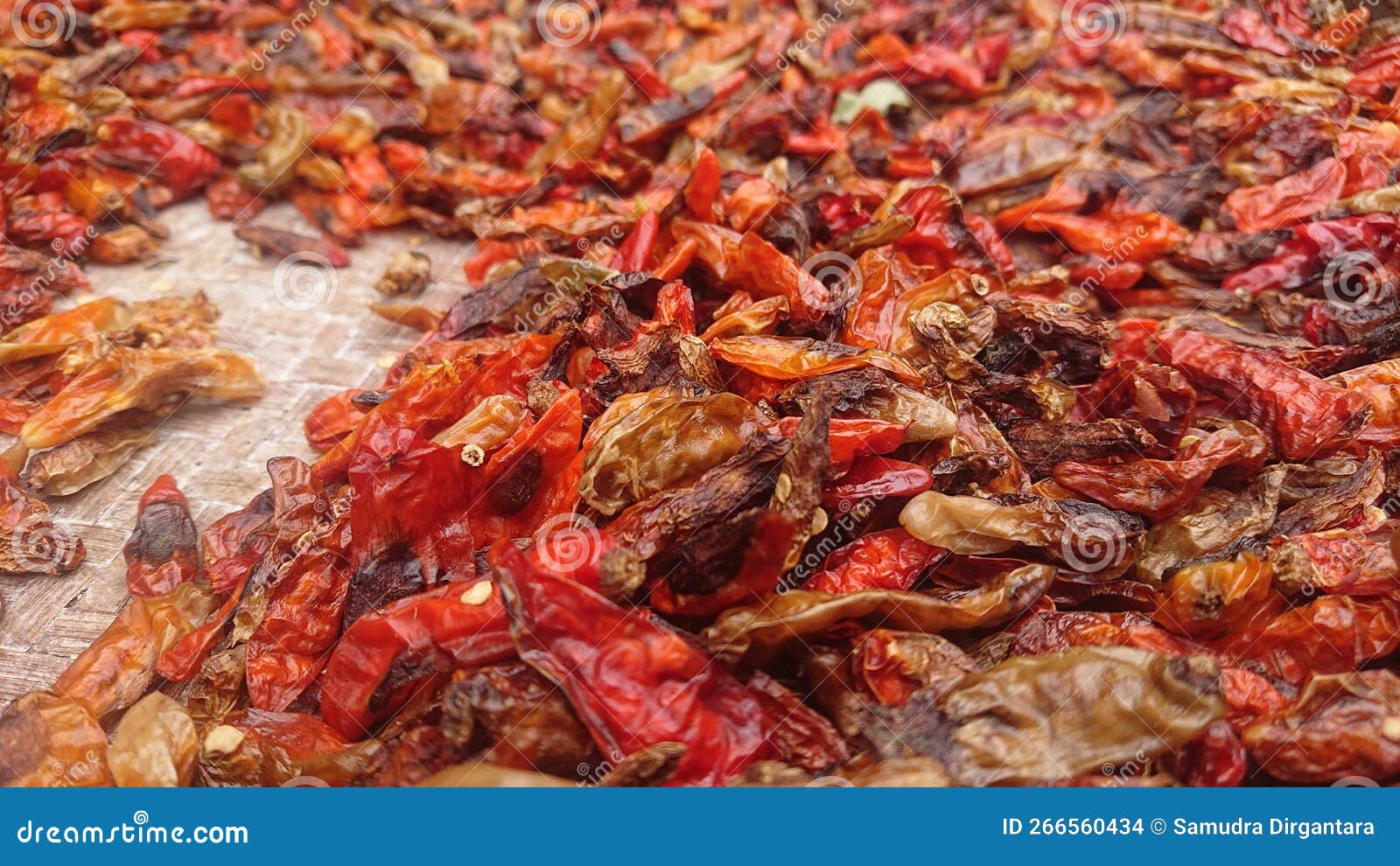 Chili drying process stock photo. Image of plant, fish - 266560434