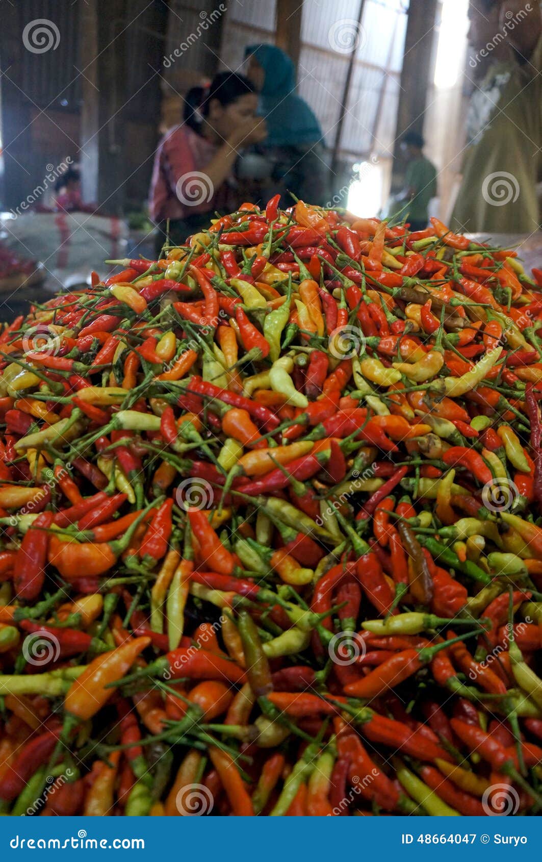 Chili editorial photography. Image of central, food, java - 48664047