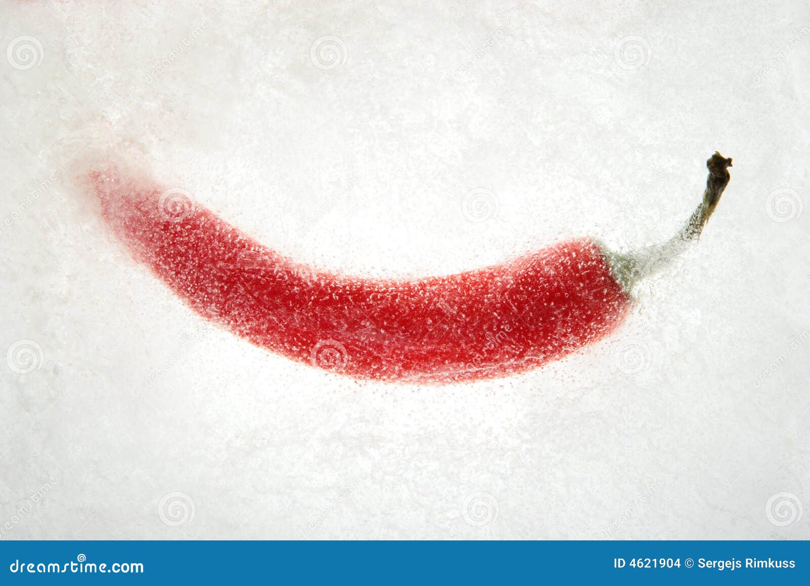 Chili in Ice stock photo. Image of vegetable, cool, freezer - 4621904