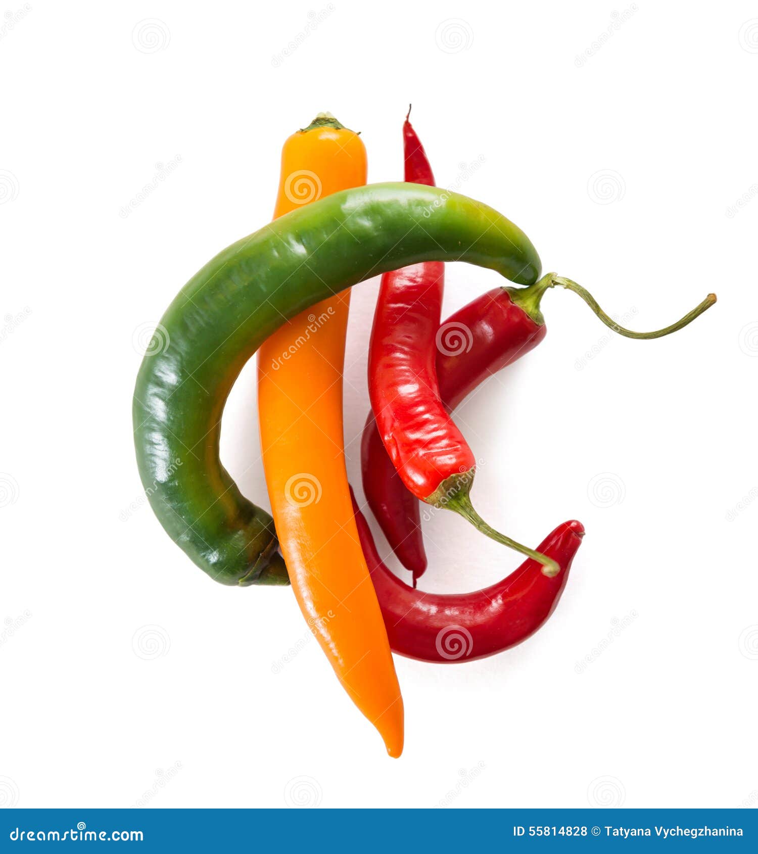 Chili papers stock photo. Image of isolated, plant, chili - 55814828