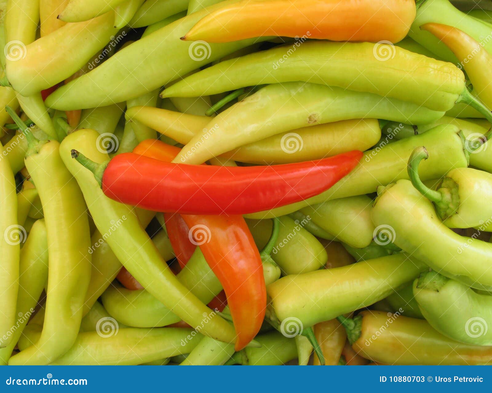 Chili pepper background stock image. Image of nutrition - 10880703
