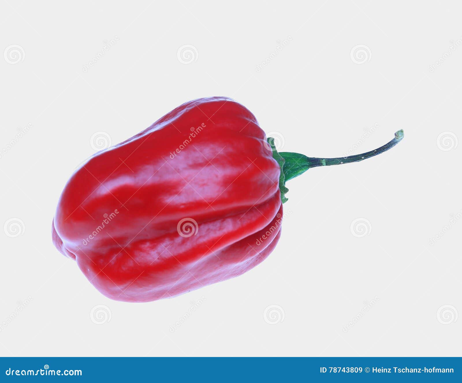 Chili Pepper, Capsicum Annuum Stock Image - Image of fruit, annuum ...