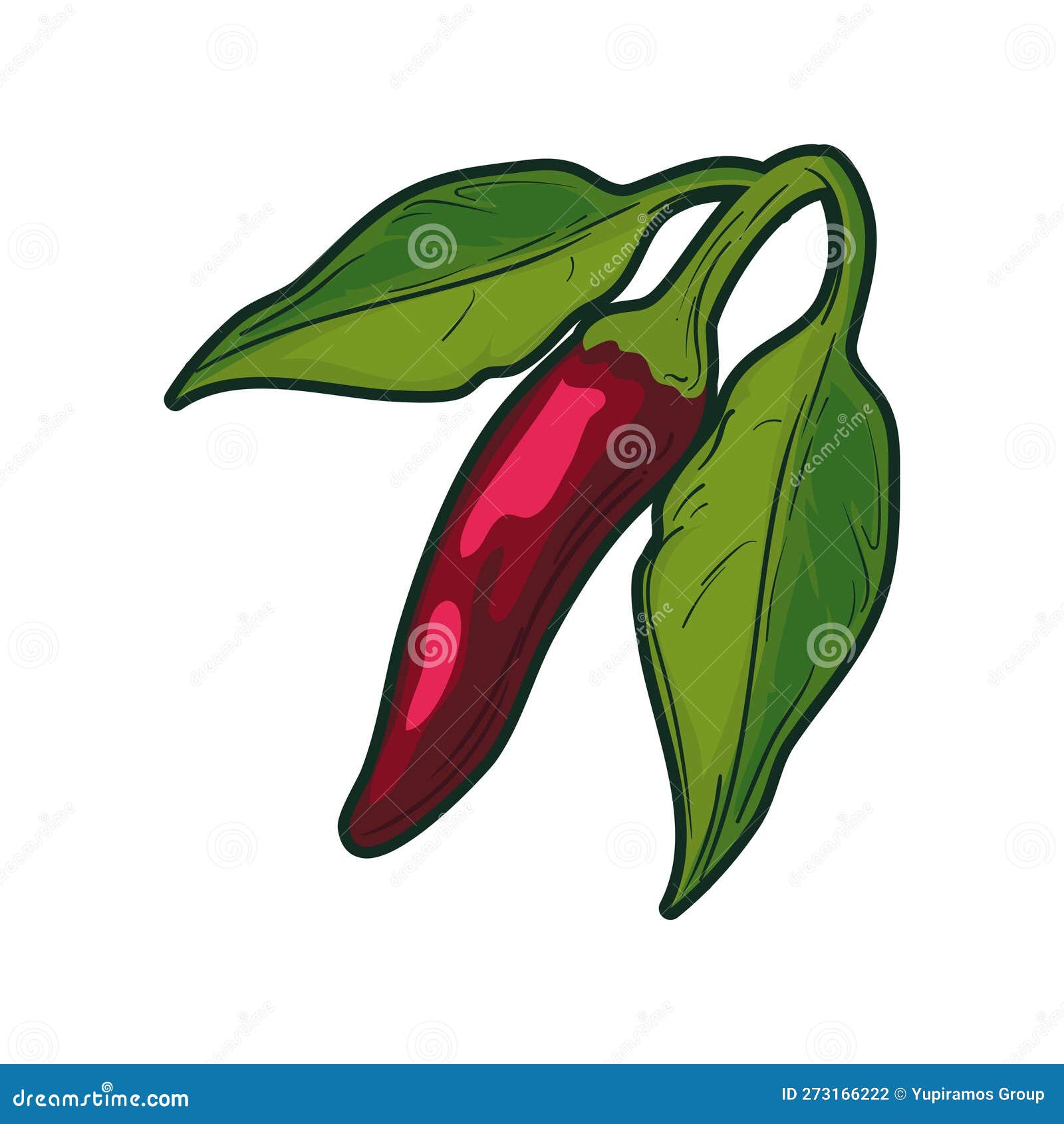 Chili pepper design stock vector. Illustration of ripe - 273166222