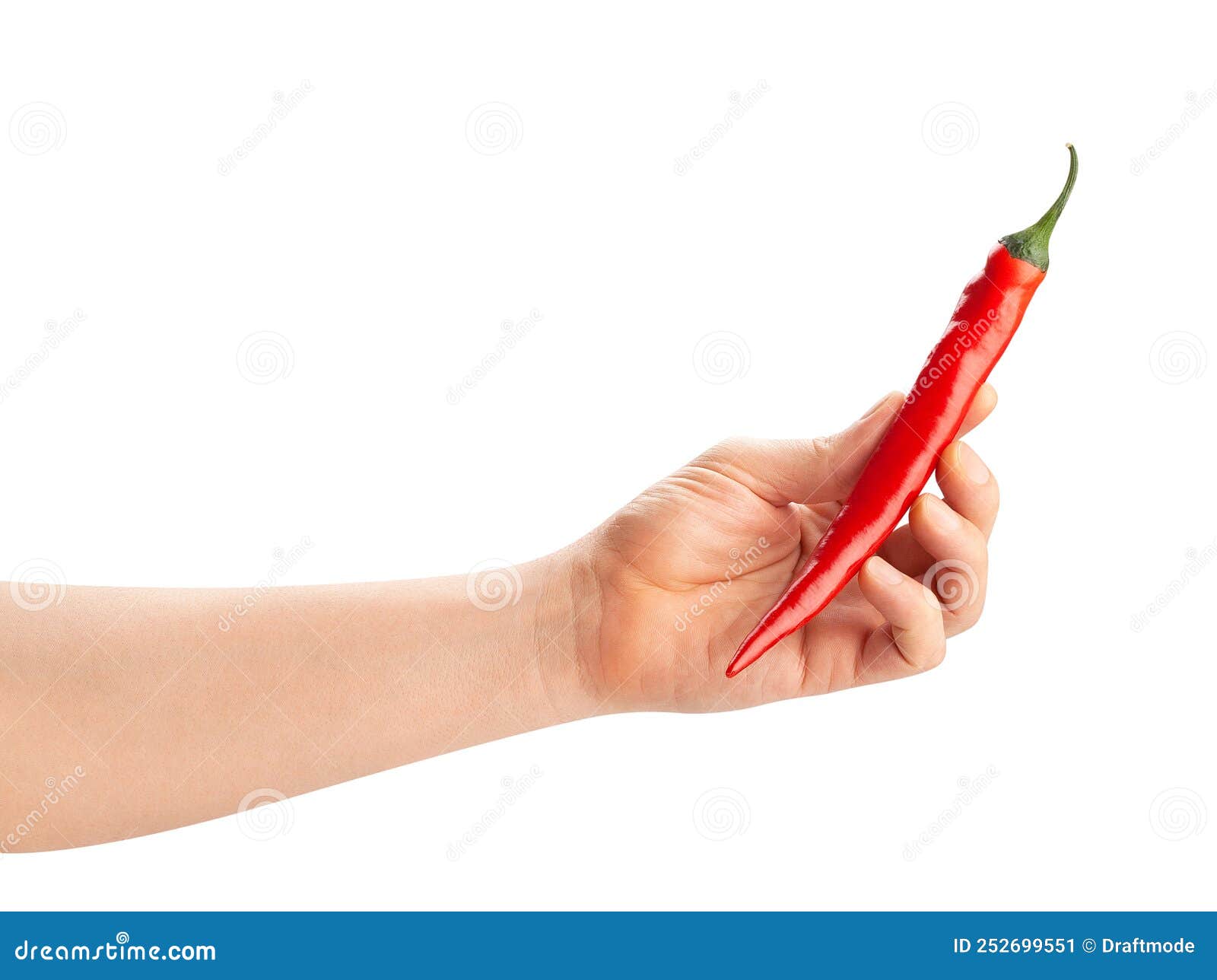 Chili pepper in hand stock image. Image of cutout, clipping - 252699551