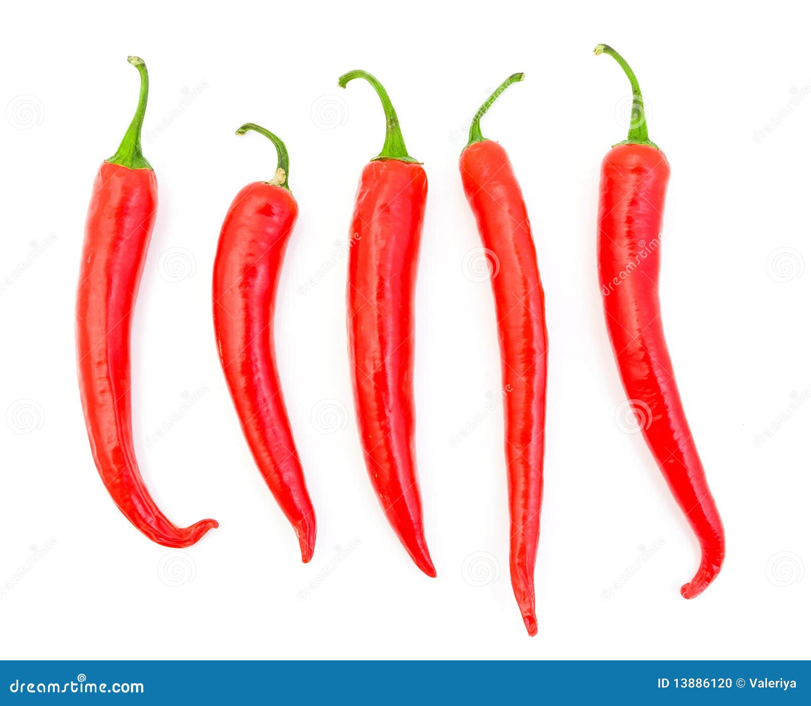 Chili pepper isolated stock photo. Image of healthy, perfect - 13886120