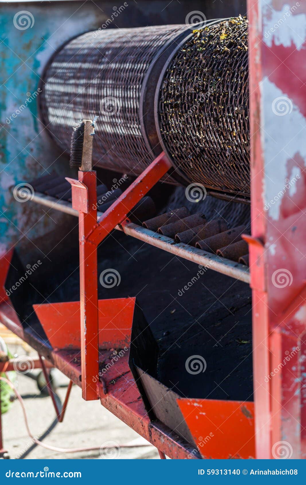 Chili Pepper Roaster stock photo. Image of solanaceae - 59313140