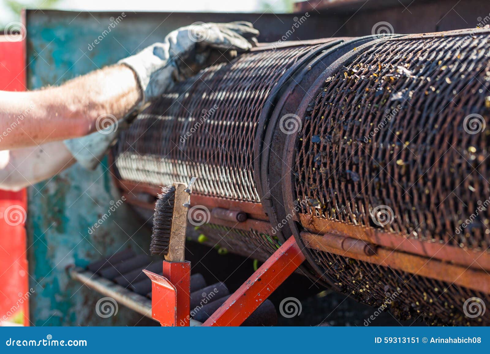 Chili Pepper Roaster stock image. Image of solanaceae - 59313151