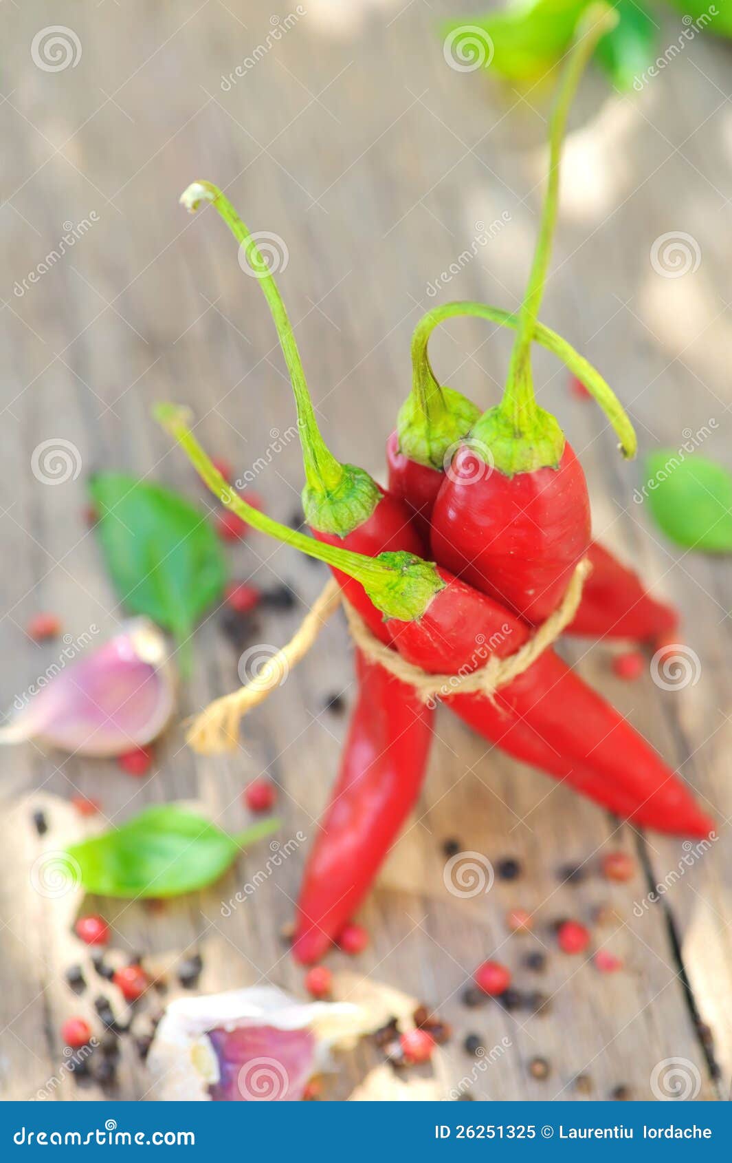 Chili pepper and spices stock image. Image of gourmet - 26251325