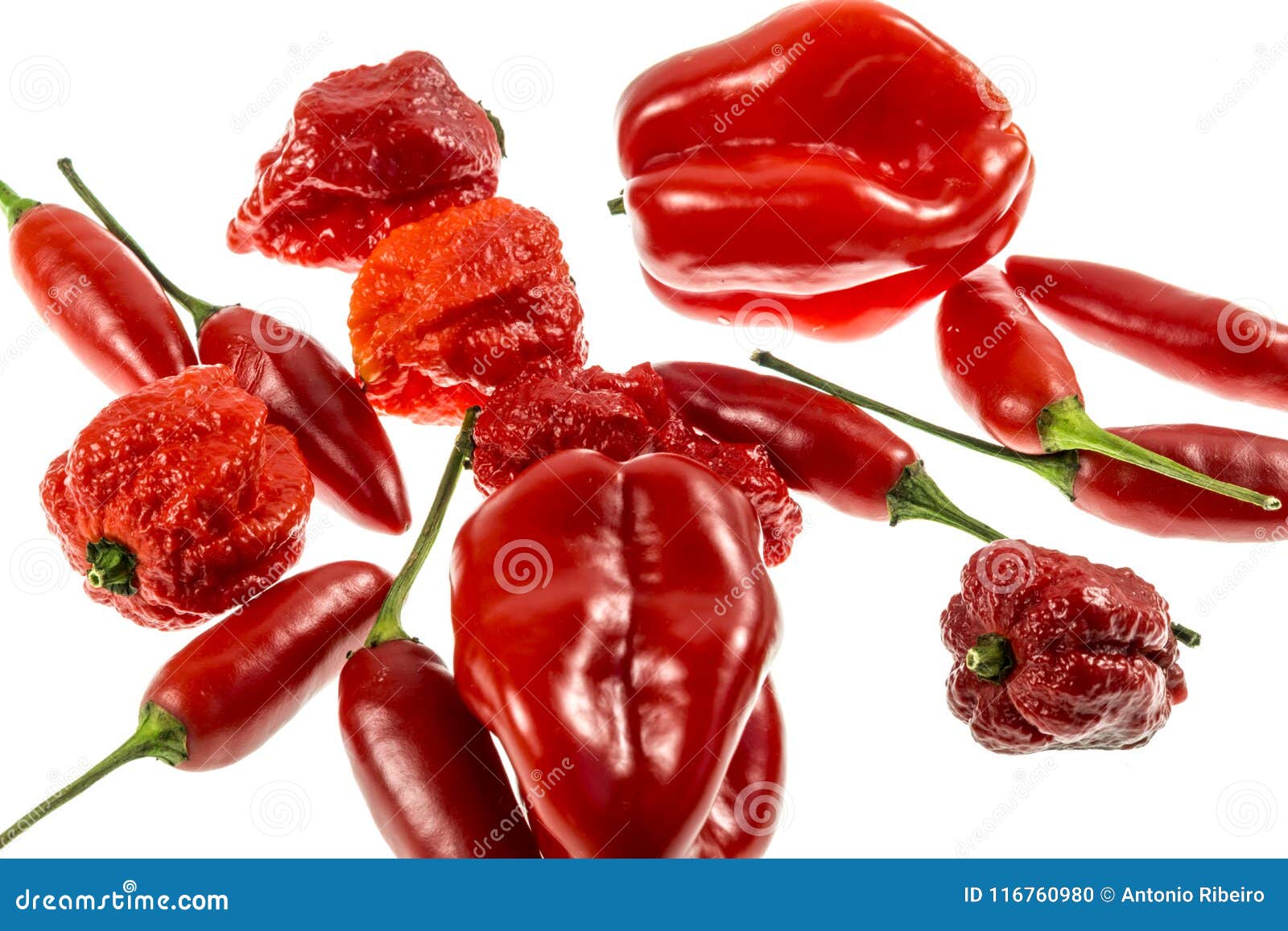Chili Pepper Variety De Chiles Rojos Foto de archivo - Imagen de ...