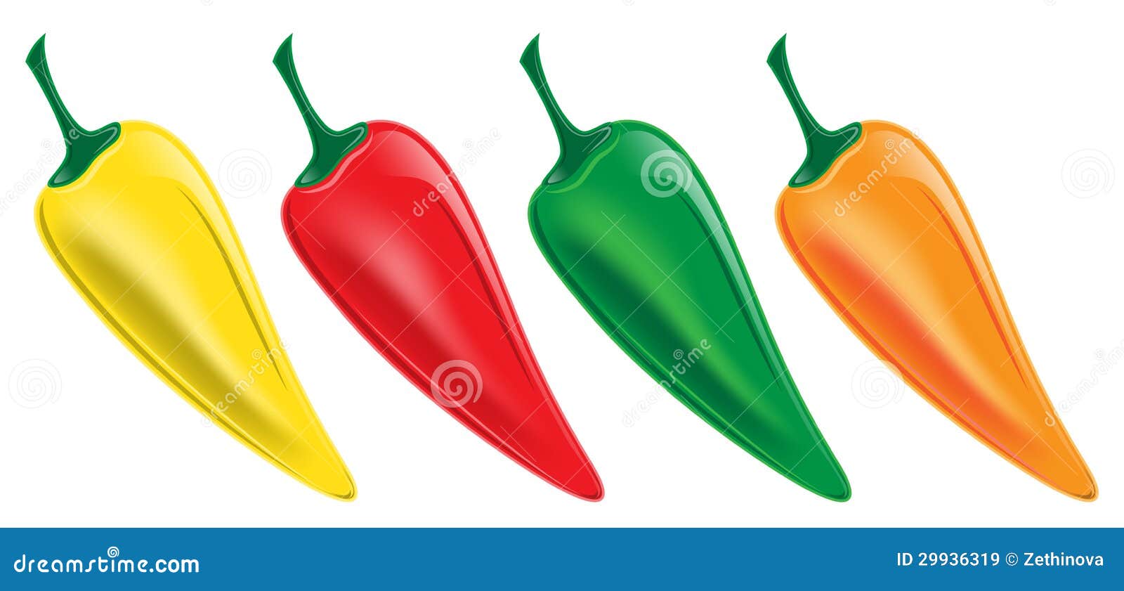 Chili Peppers stock vector. Illustration of chili, color - 29936319