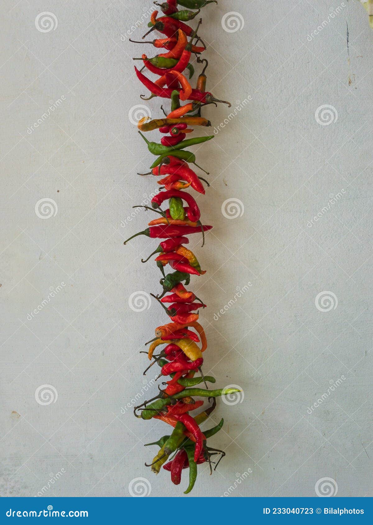 Chili Peppers Hang in Bunches with a String Thread To Air Drying Stock ...