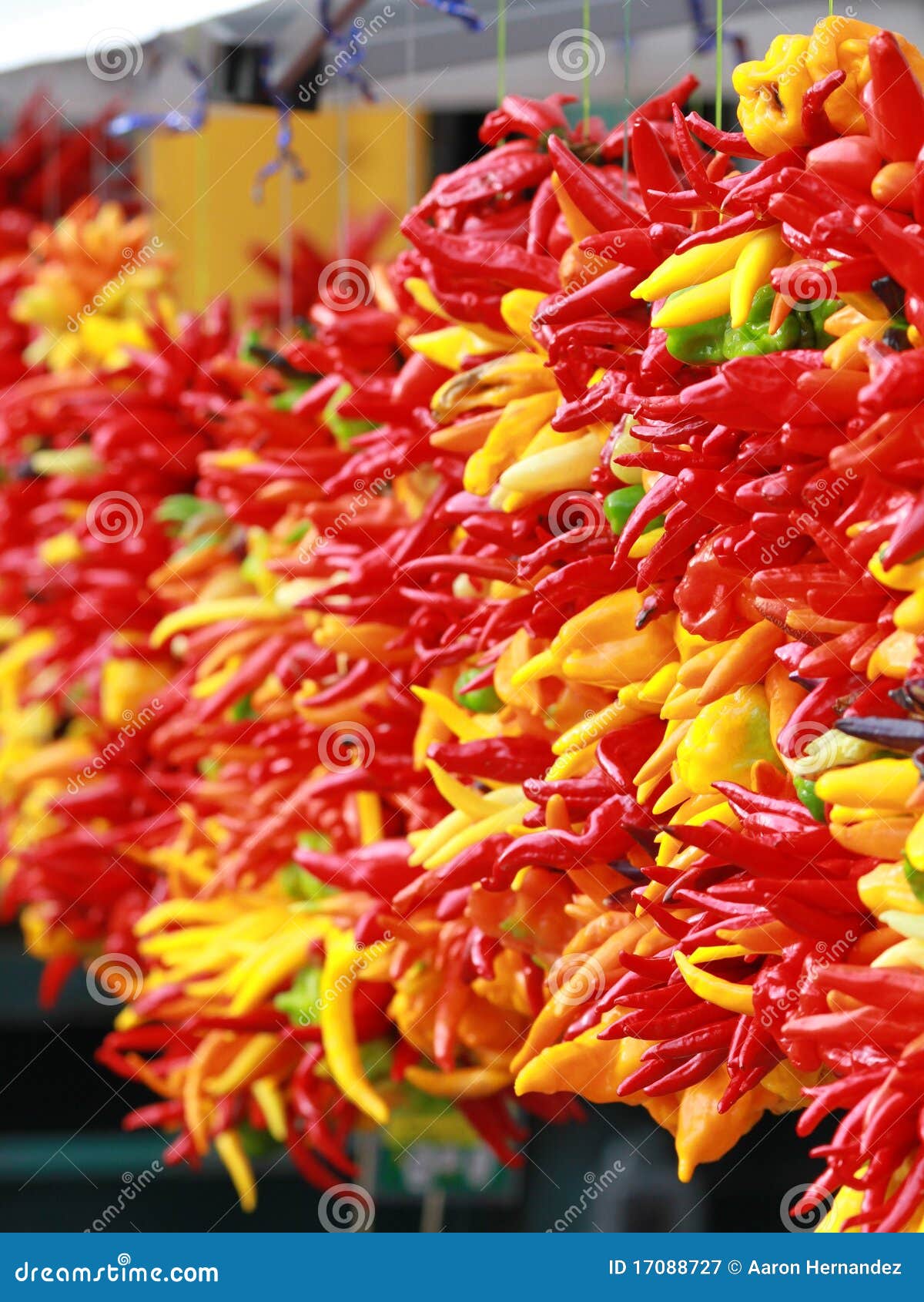 Chili Peppers at a Produce Stand Stock Image - Image of farmers ...