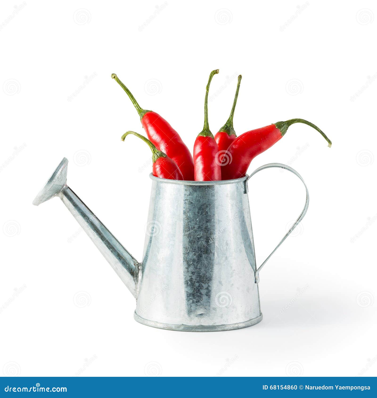 Chili Peppers in Watering Can Stock Photo - Image of closeup, healthy ...