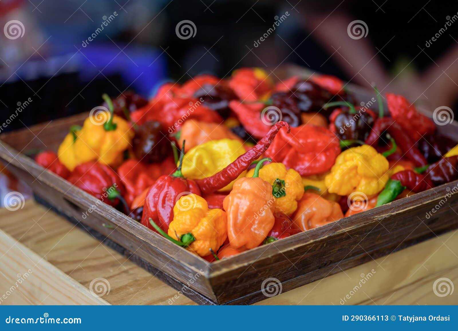 Chili Peppers on a Wooden Tray Stock Image - Image of rustic, pepper ...