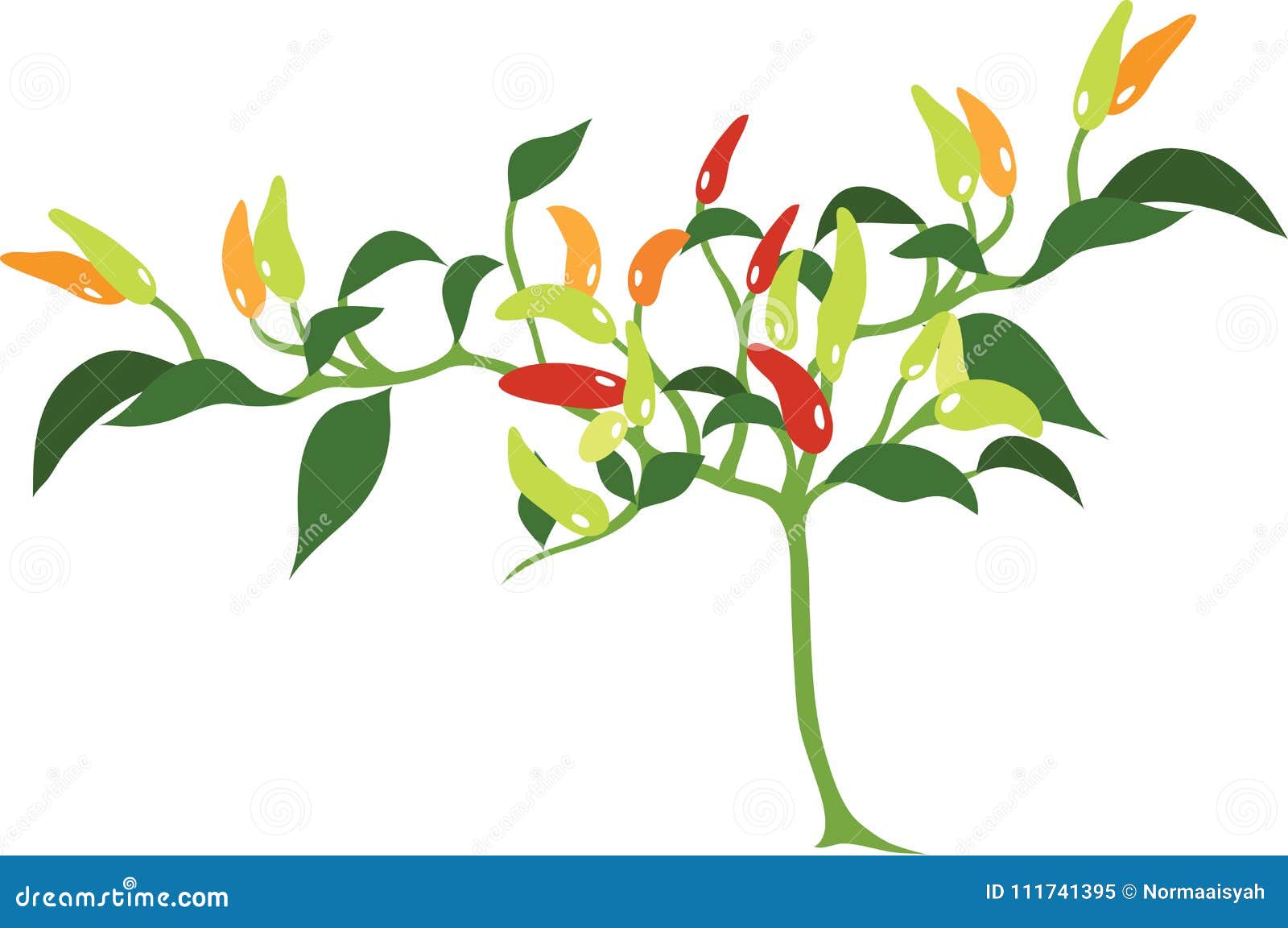 Chili Plant Vector Icon Y Ejemplo Stock de ilustración - Ilustración de ...