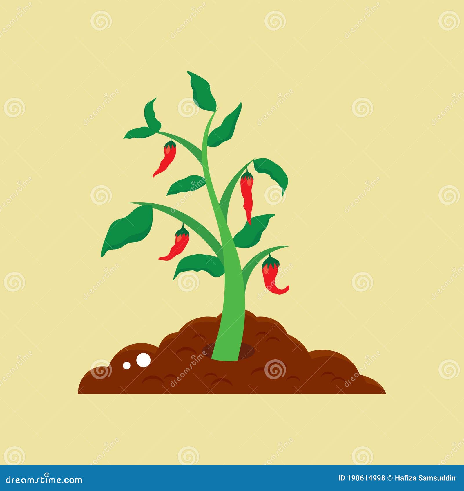Chili Plant. Vector Illustration Decorative Design Stock Vector ...