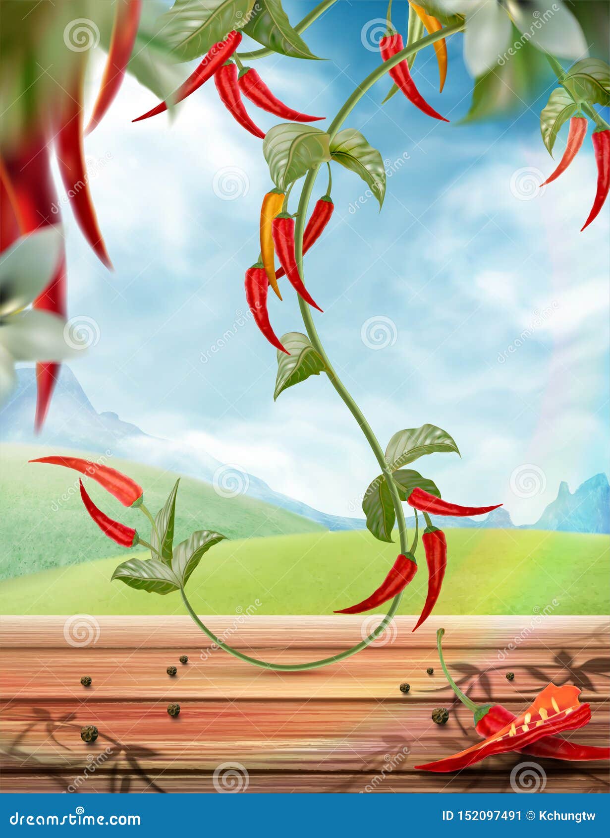 Chili Plant with Wooden Table Stock Vector - Illustration of spice ...