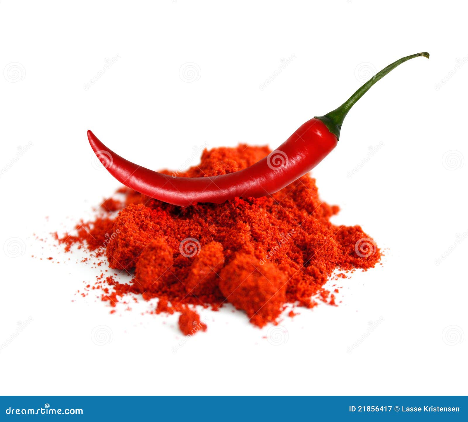 Chili Pepper (Capsicum Annuum) Fruit Pericarp Cross-section Stock ...