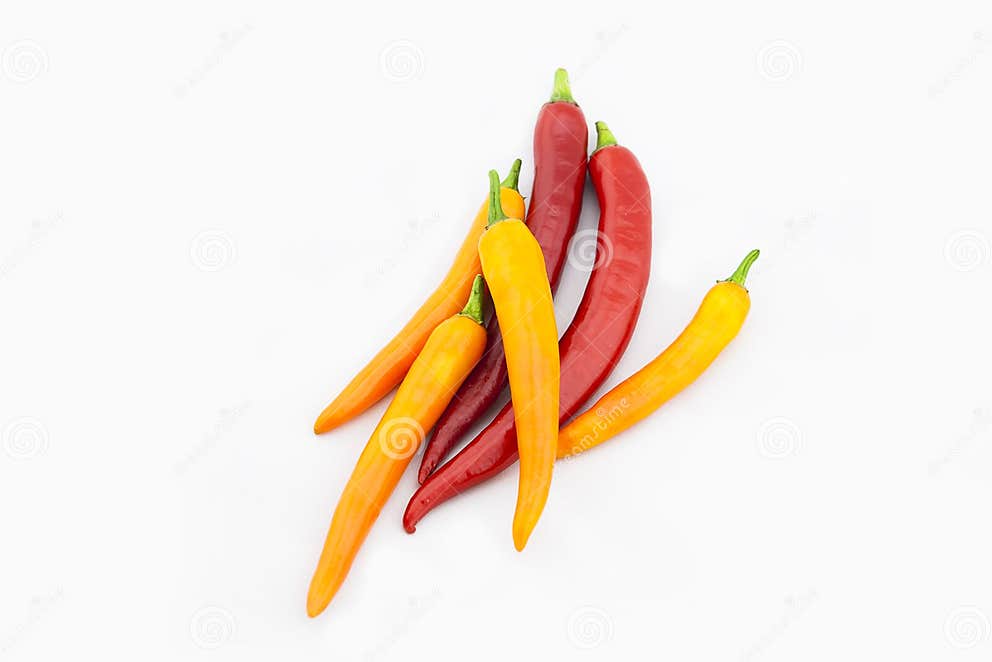Chili stock image. Image of taste, chili, food, yellow - 55140957