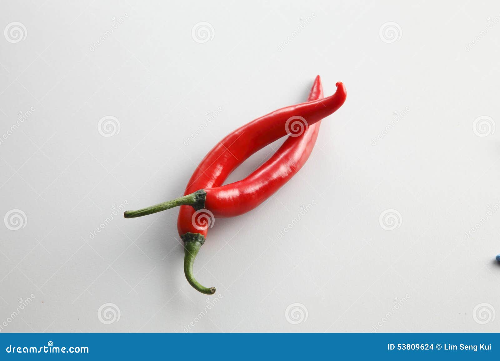 Chili stock photo. Image of ingredient, vitamin, paprika - 53809624