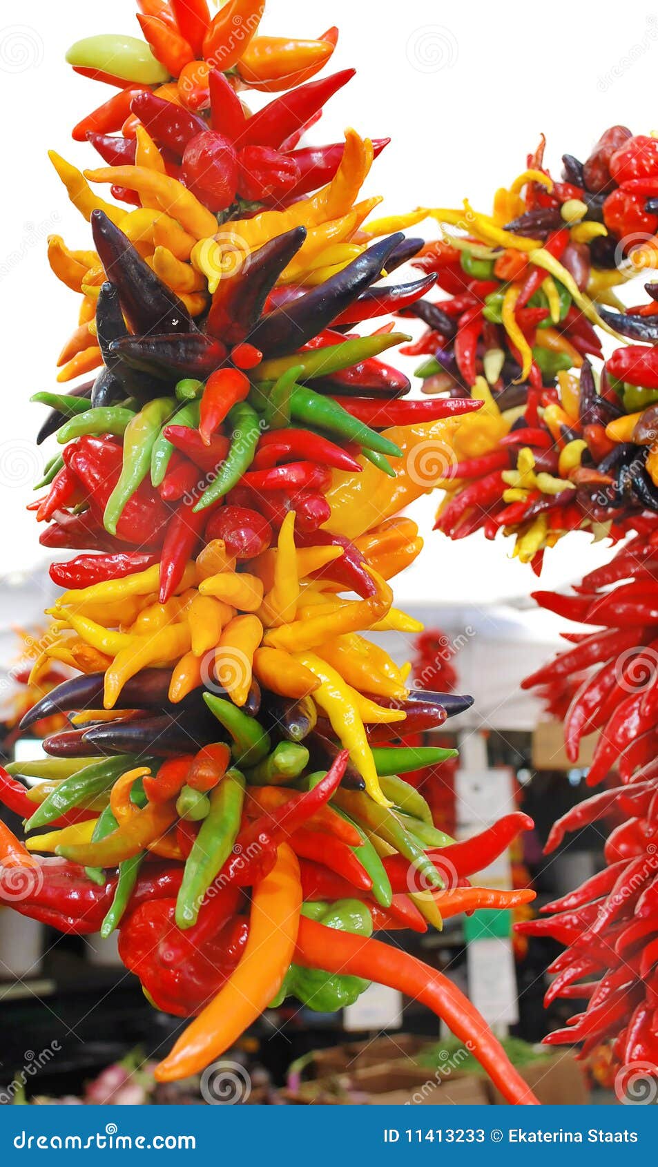 Chili ristras stock image. Image of green, harvest, raffia - 11413233