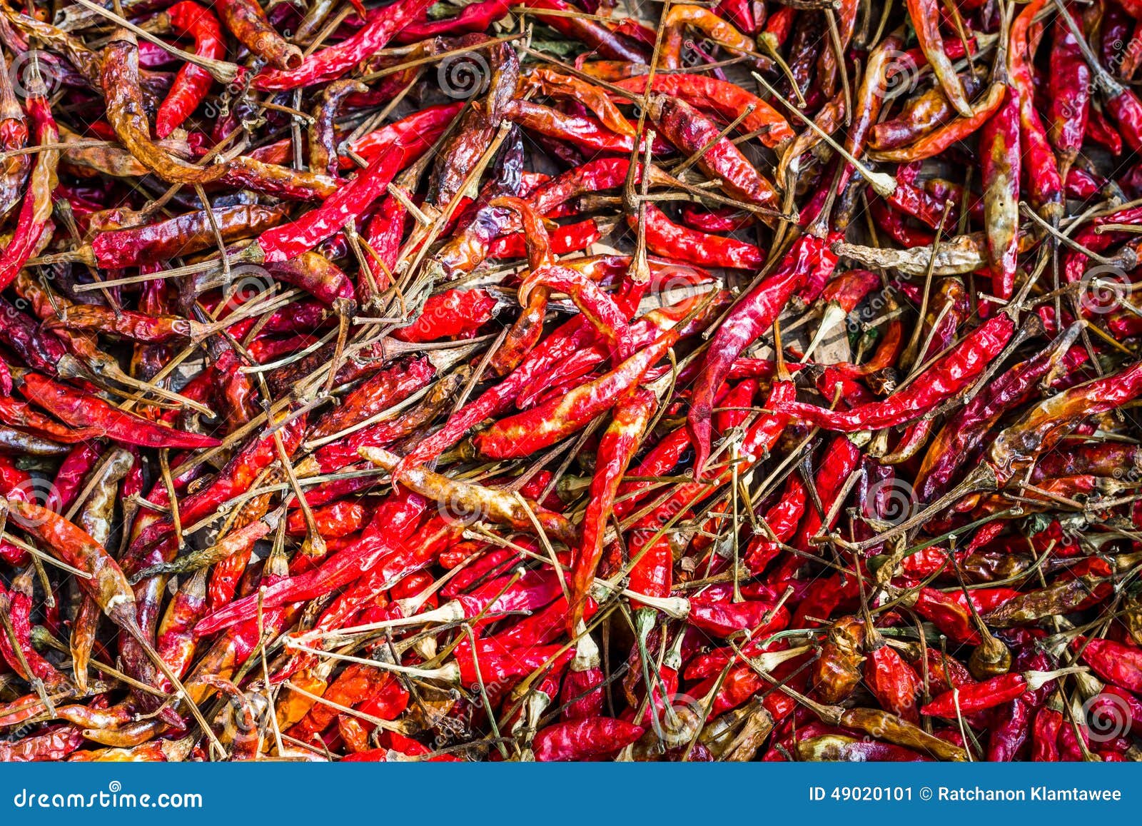 Chili stock image. Image of chillies, chilly, color, spicy - 49020101