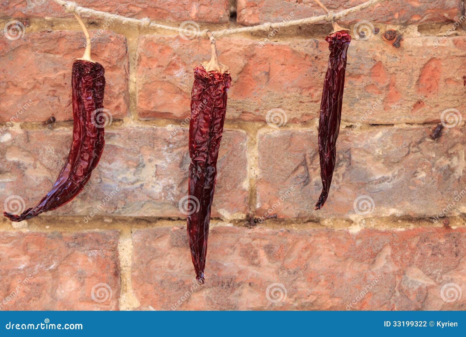 Chili to dry on a rope stock photo. Image of detail, delicious - 33199322