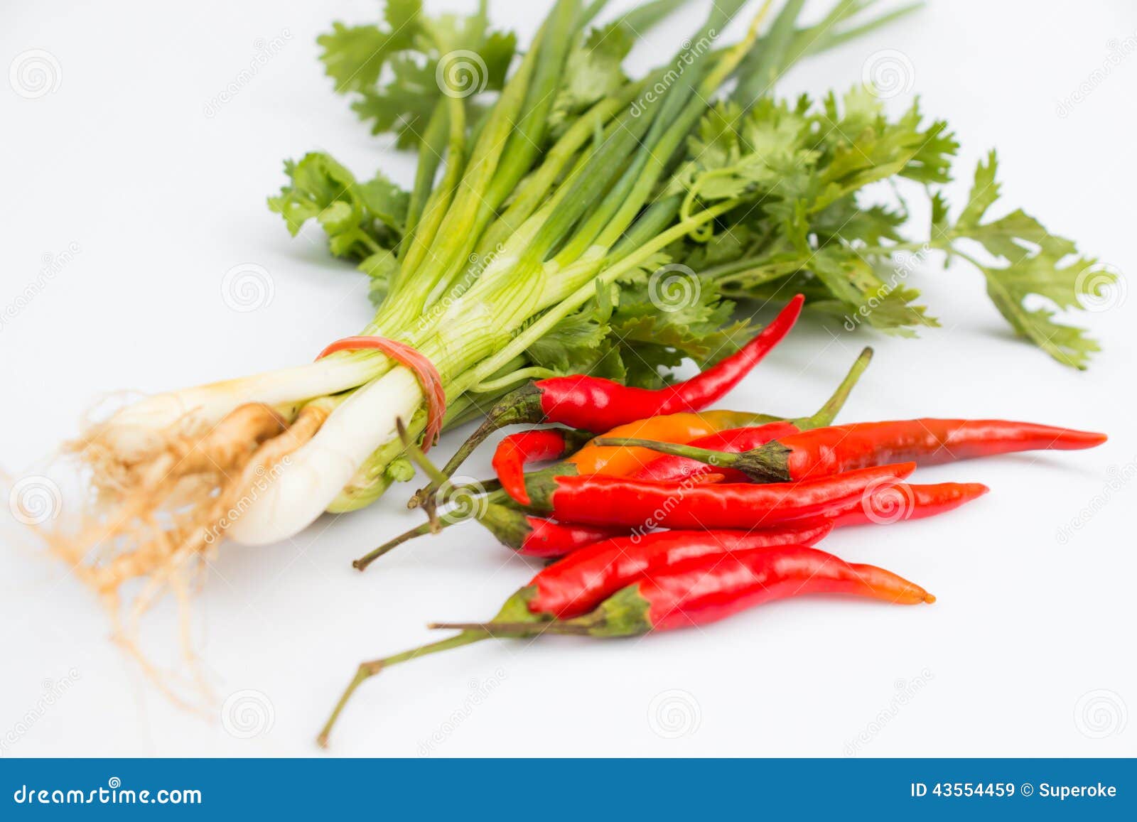 Chili and vegetable stock image. Image of eating, fresh - 43554459