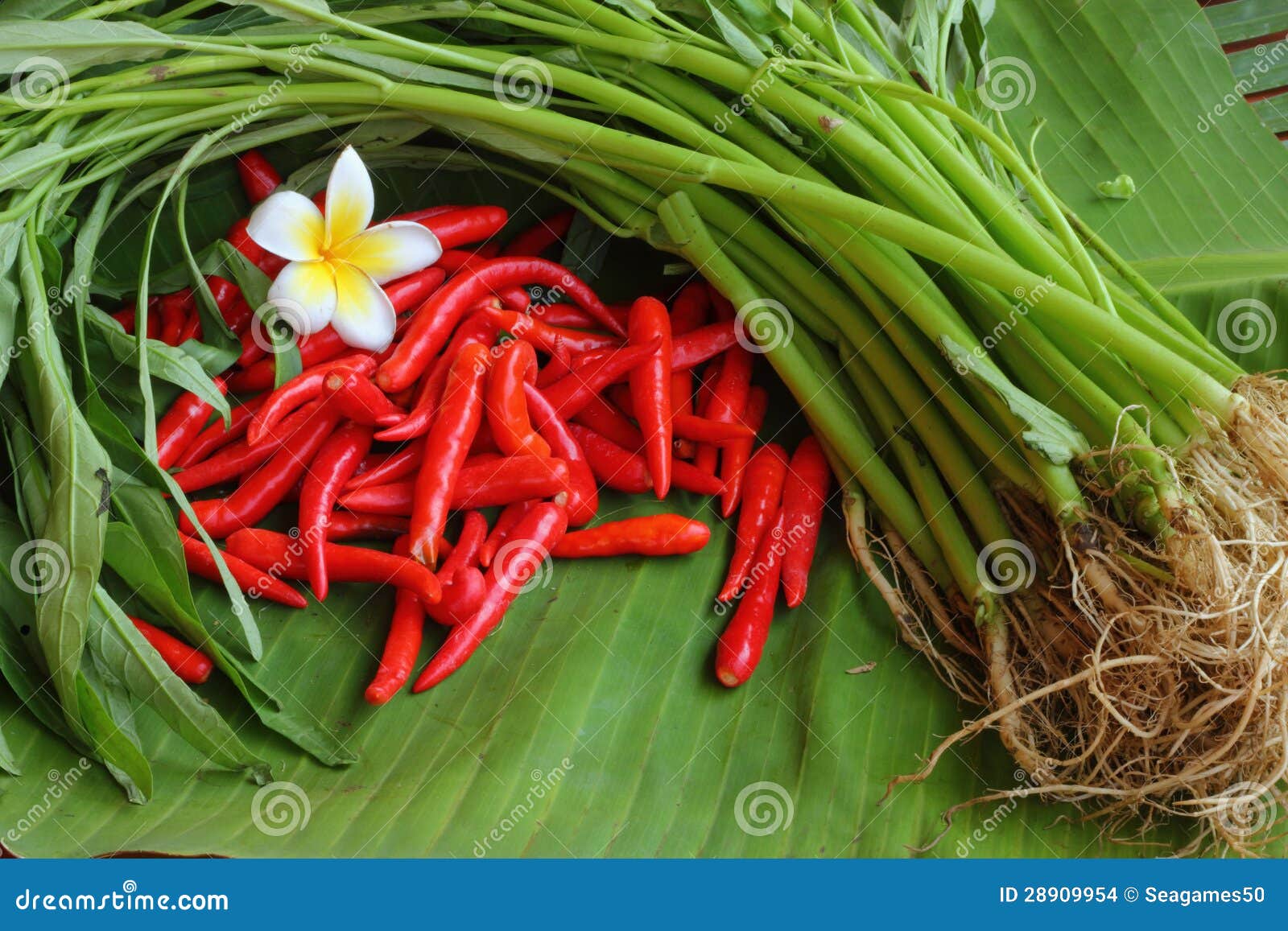 The chili and vegetables stock photo. Image of eating - 28909954