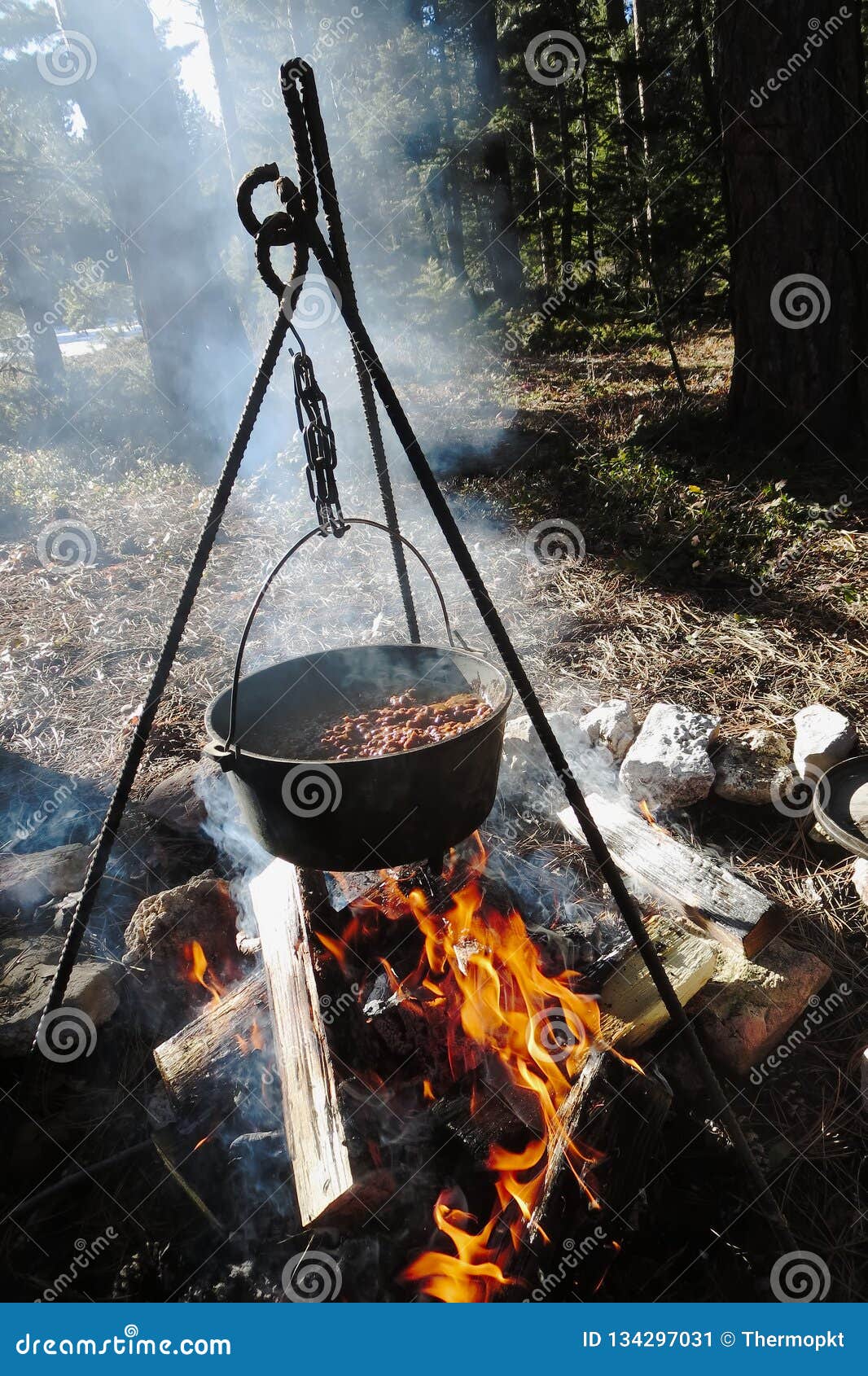 Chili Warming Over a Campfire Stock Image - Image of wood, dutch: 134297031
